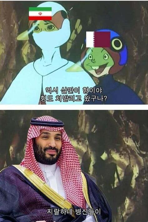 살만이형도 쳐발렸구나 에누리 쇼핑지식 자유게시판