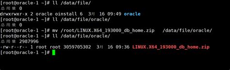 Oracle19c静默部署oracle 19c静默建新库怎么使用参数文件来 Csdn博客