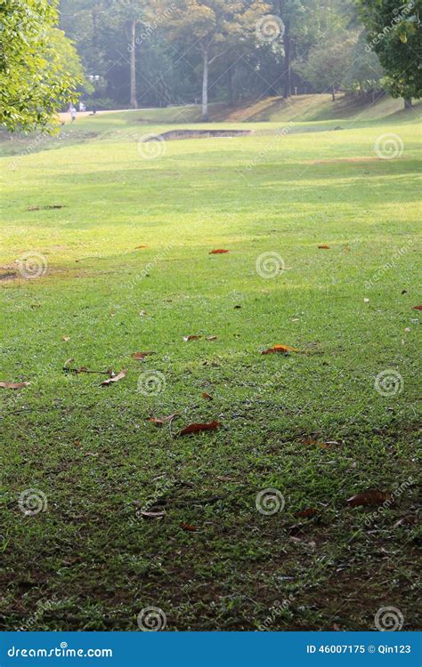 Grass With Sunshine Stock Image Image Of Relax Lake 46007175