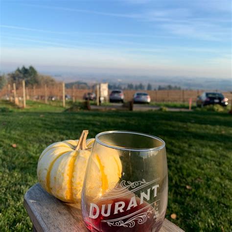 Durant Vineyards At Red Ridge Dayton Or