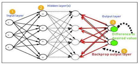 Typical Artificial Neural Network With Backpropagation Processes Download Scientific Diagram