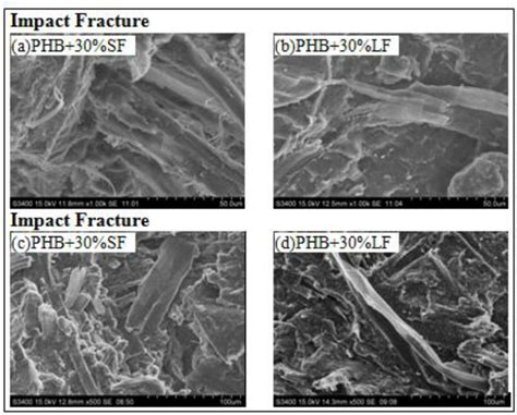 Scanning Electron Microscope Photos About Fracture Face Of