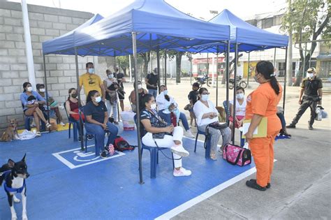 Inician las Jornada de Esterilización a caninos y felinos animales en condición de calle