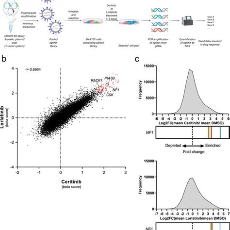 Genome Wide Crisprcas9 Knockout Screens Identify Genes Associated With