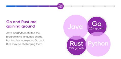 報告：gorust 挑戰javapython 地位，ai 備受關注 科技資訊 網絡設計教學