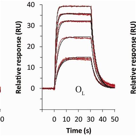 SPR Kinetic Analysis For Each Operator Site The C Protein Was