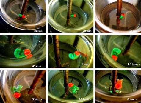 Gastroretentive Hydrodynamically Balanced Systems Of Ofloxacin In Vitro Evaluation Pmc