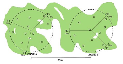 Sampling Design To Test The Spatial Variability Within Each Sampling Download High
