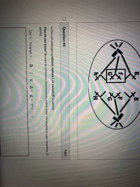 Solved E E Question 44 4 Pts Is This Cell Undergoing Chegg
