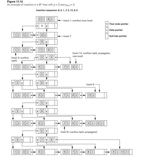 Solved Algorithm 173 ﻿inserting A Record With Search Key