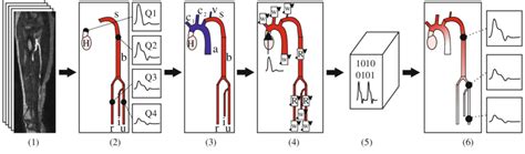 The Patient Specific Modeling Framework 1 Mr Acquisition 2 Mr Data
