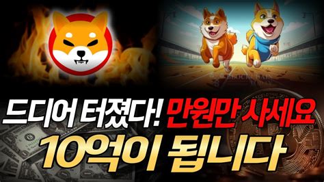 시바이누 미쳤다 1센트 도달을 위한 역대급 행보 시바이누도지시바이누전망 Youtube