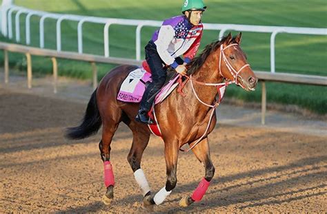 【ケンタッキーダービー】フォーエバーヤングは単走で5ハロン63秒0／追い切り速報 Jra Van World 海外競馬情報サイト