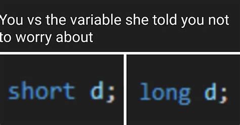 Variable Naming Is Hard Programmerhumor