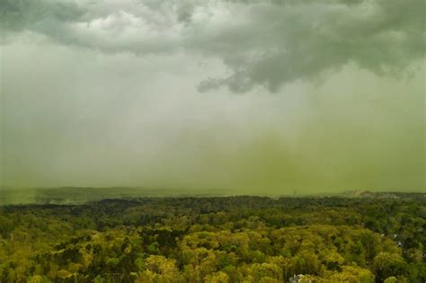 Photographer Captures Amazing Pictures Of Pollen Cloud Engulfing City
