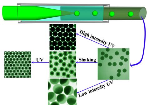 Pdf Single Emulsion Microfluidic Production Of Janus And Core Shell