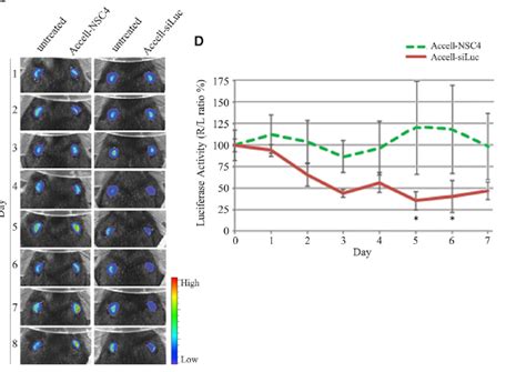 玩儿转rnai——accell Sirna多功能应用展示