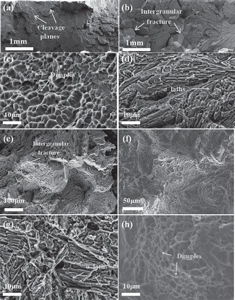 Fracture Surfaces Of Longitudinal Specimens A C As Built Ti6al4v