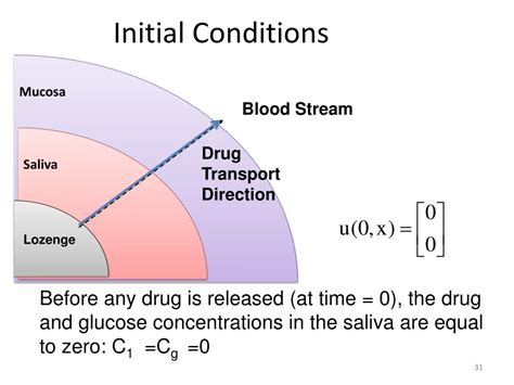 Ppt Chee 412 Partial Differential Equations In Matlab Powerpoint