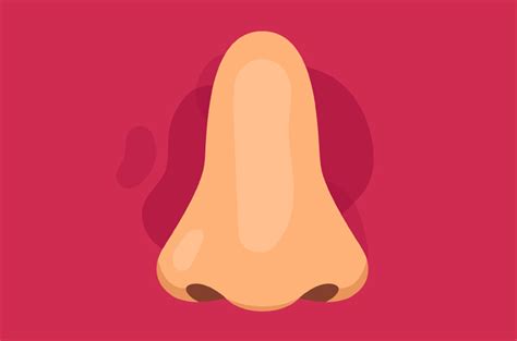 Jangan Salah Ini Bedanya Rhinitis Alergi Dan Rhinitis Non Alergi