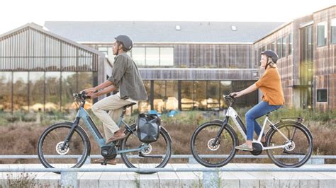 Upright Dutch Bike Upright Bikes For Sale Ctmlae