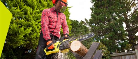 Воздуходувка Ryobi RBV3000CSV 5133002188 - выгодная цена, отзывы ...