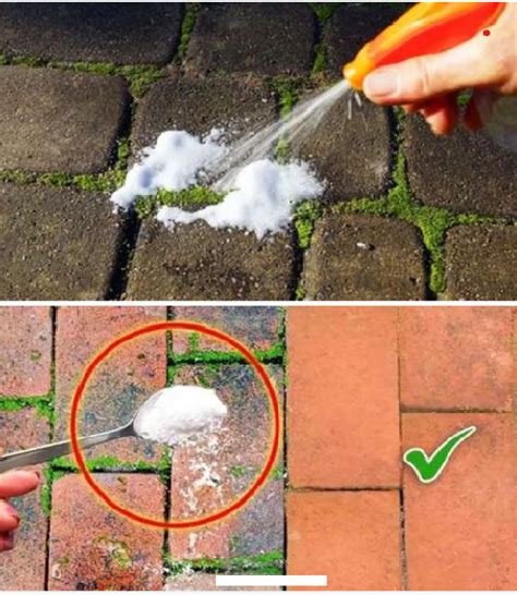 Cest la meilleure solution contre la mousse sur votre allée et