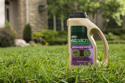 Best Fertilizers For St Augustine Grass Of 2022 Reviews