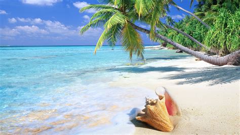 Tropical Island Sunset Wallpaper 58 Images