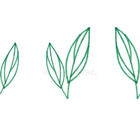 Linear Pattern Of Laurel Leaves Stock Illustration Illustration Of