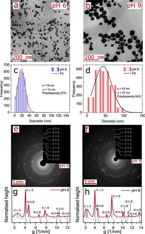 Morphological Characterisation With Electron Microscopy Shows Different