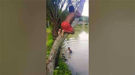 গ্রাম বাংলার ছোট ছোট ছেলেদের গাছ থেকে লাফি দেওয়া ভিডিও Viral