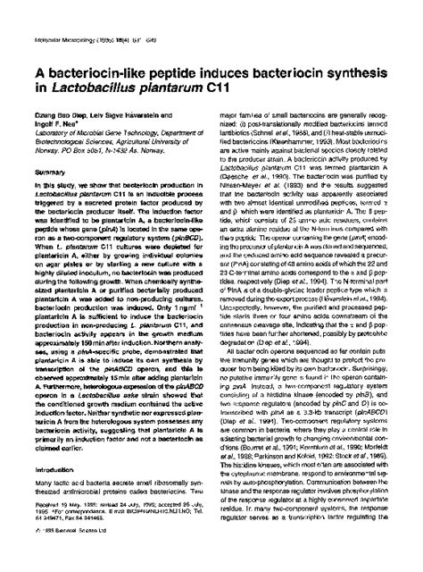 Pdf A Bacteriocin‐like Peptide Induces Bacteriocin Synthesis In