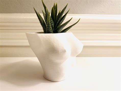 Sexy Erotic Art Planter Pot Erotic Gift For Him Erotic Deco Etsy