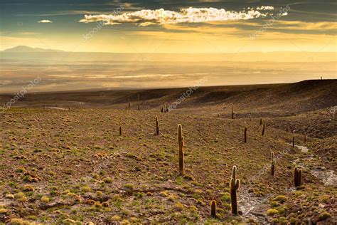 Vista Del Lago Salado De Atacama Salar De Atacama Al Atardecer