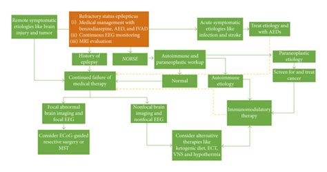 flowchart depicting various options available in management of rse and