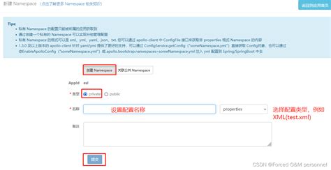 Apollo使用（运维篇）apollo删除集群 Csdn博客
