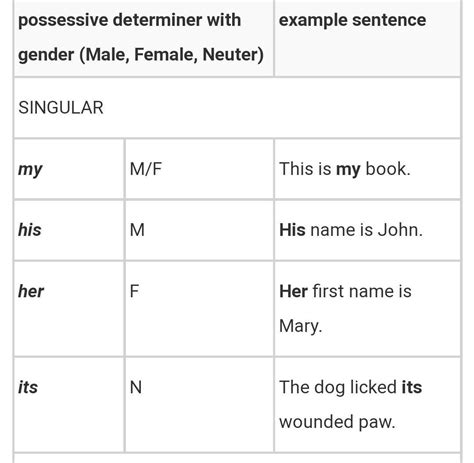Give Any 3 Examples Of Possesive Determiner