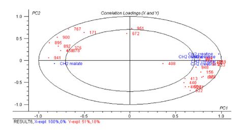 Correlation Loading Plot Of PLS2 X NMR Variables Y Selected
