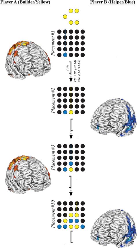 Figure 2 From Dissecting Social Interaction Dual FMRI Reveals Patterns