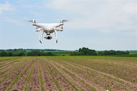 Inteligência Artificial E Machine Learning Uma Revolução No Agro Exame