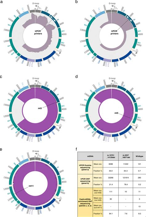 Multiple Mtdna Deletions In A Clinical Sample A B Circos Plot Of The