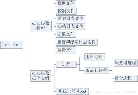 Oracle数据库体系结构概论oracle数据库架构原则 Csdn博客