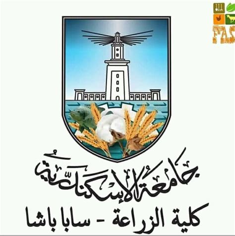 نادى سابا باشا الثقافى