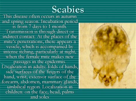 Pyoderma And Scabies Online Presentation