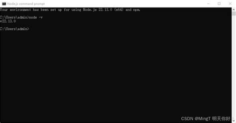 在vs Code 中无法运行npm并报无法将“npm”项识别为 Cmdlet、函数、脚本文件或可运行程序的名称。请检查