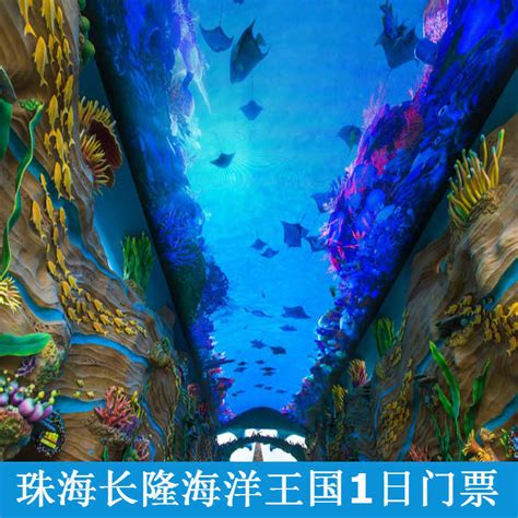 游艇会首页游艇会首页俱乐部 Abzu 魚 種類