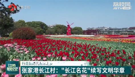 行走新时代鱼米之乡张家港长江村长江名花续写文明华章 国内新闻 盐城网 盐城第一新闻网 盐城广播电视总台主办的视频新闻门户网站