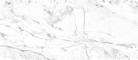 品牌介绍深圳市石兴凯美容有限公司石兴凯中医美容针灸美容针灸减肥艾灸中医减肥中医养生刮痧 深圳市石兴凯美容有限公司 石兴凯官网