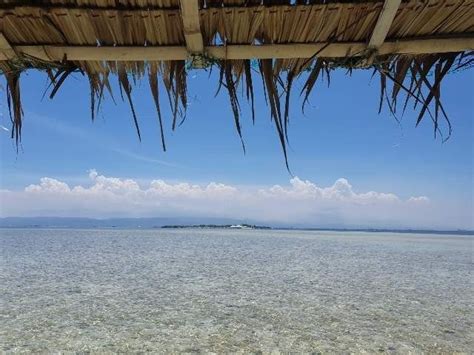 필리핀 골프 여행 세부 골프장 가격 비교 세부cc 알타비스타 릴로안cc 클럽 필리피노 막탄 에어베이스 네이버 블로그